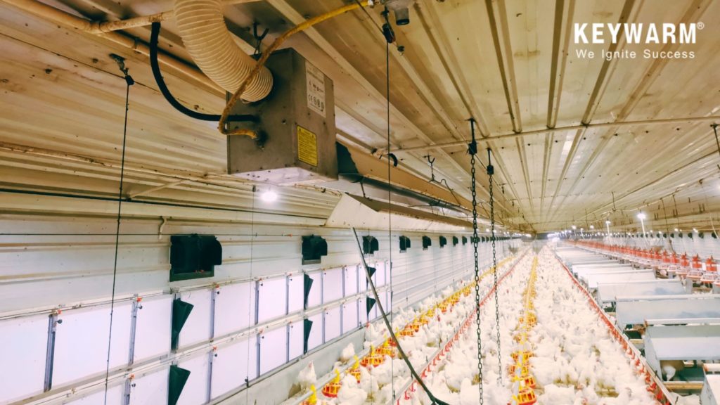 The Future of Heating: Infrared Tube Heaters for Industrial ...